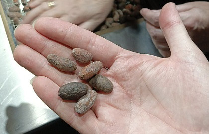 Экскурсия «Сладкая сказка (пешеходная экскурсия на шоколадную фабрику ...
